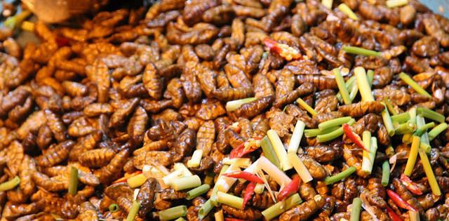 中国人是世界最敢吃的民族? 柬埔寨人民用一场昆虫盛宴震慑我们