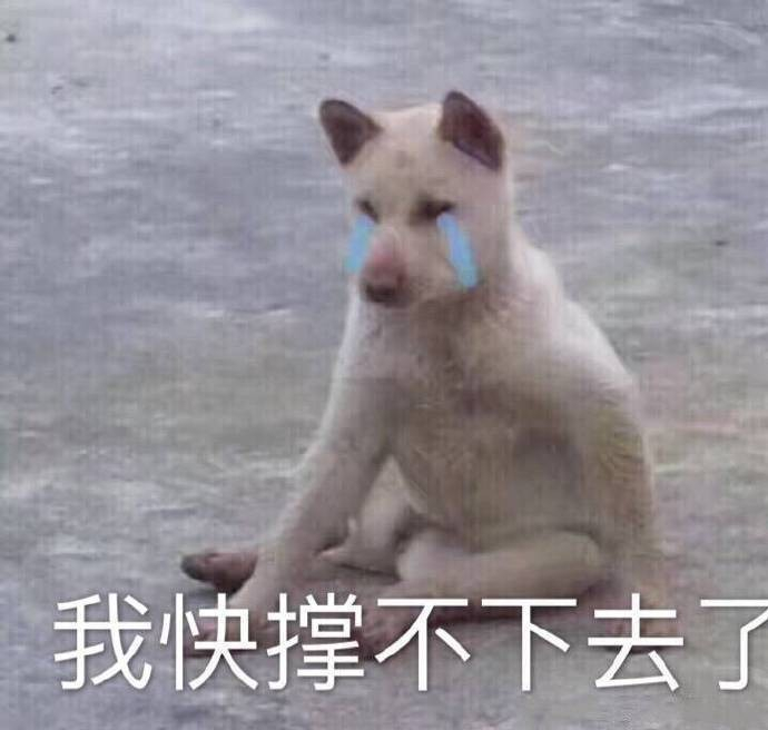 搞笑表情包精选：好困我好累|表情包_新浪新闻