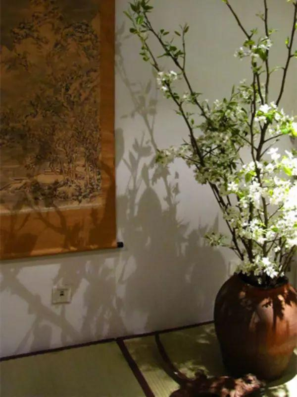 气温骤降，那么，现在可以开始学习煮茶了