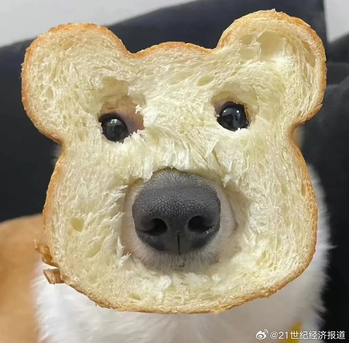 4种高脂肪面包需警惕__财经头条__新浪财经