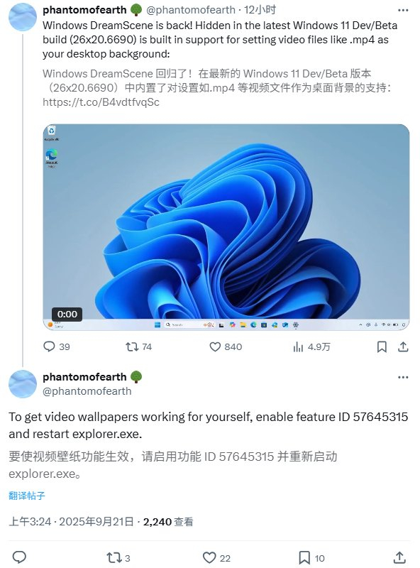 Win11时隔19年重新支持视频动态壁纸__财经头条__新浪财经