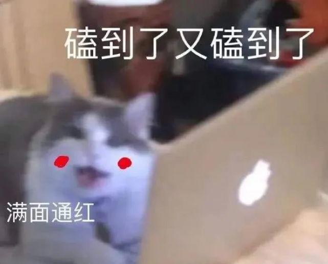 传说中井柏然暗恋付辛博的bobo组合，究竟发生了什么？