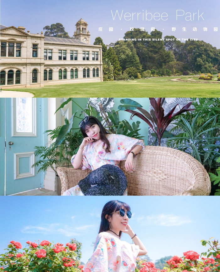 墨尔本小众旅行｜Werribee的古堡和玫瑰园美到惊艳