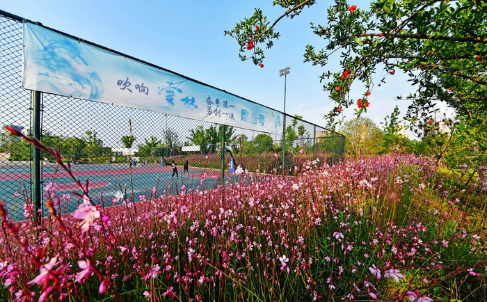 初夏夕阳下的云林体育公园