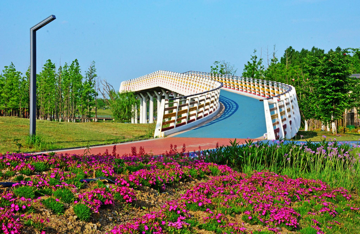 初夏夕阳下的云林体育公园