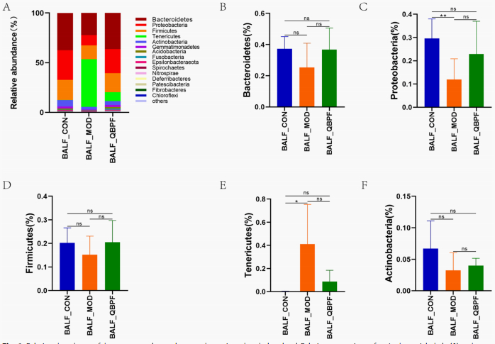 转化医学微生物多样性发现芪白平肺胶囊治疗慢性阻塞性肺病机制