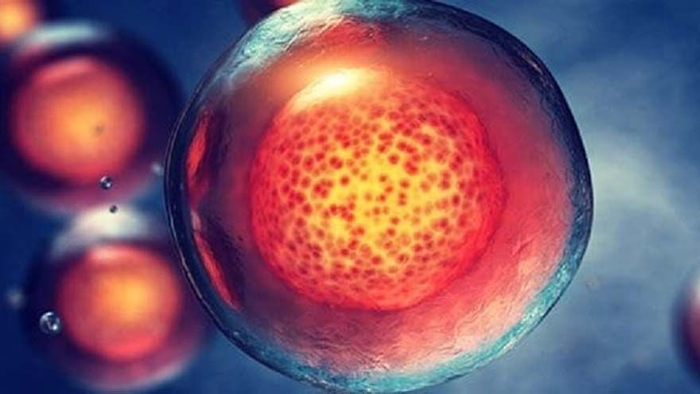 FDA批准Ryoncil用于治疗儿童类固醇难治性急性移植物抗宿主病|新冠肺炎_新浪新闻