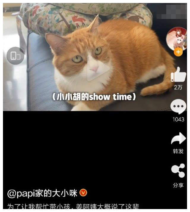 papi酱因孩子随父姓惹争议，被网友怒斥独立女性，人设是假的！|帕皮|女性|女权_新浪新闻