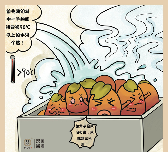 我从田间走到你的酒杯中，高粱的前世今生丨支云漫画