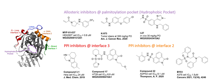 河马通路？3款已进入临床，这个癌症治疗新靶点你必须了解一下！