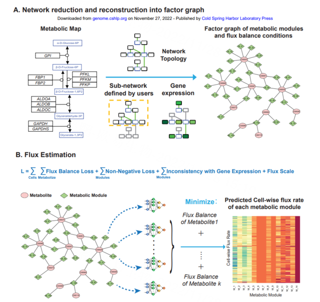 scRNA代谢分析软件千千万，总有一款适合您|通信|代谢|细胞|通量|代谢物_新浪新闻