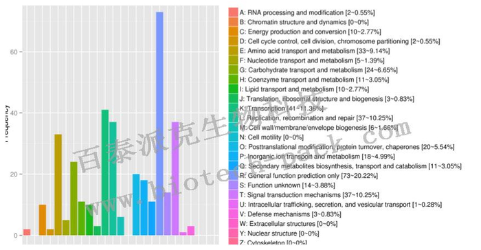 COG功能注释分析|数据库|蛋白|纵坐标_新浪新闻