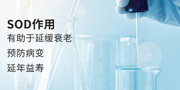 超氧化物歧化酶（SOD）的四大功效