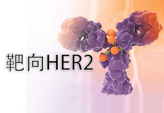 靶向HER2！药物Enhertu显示出可以治疗多种类型肿瘤的迹象