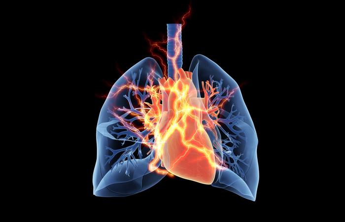 肺动脉高压新药！马昔腾坦+他达拉非组合疗法Opsynvi获得FDA批准