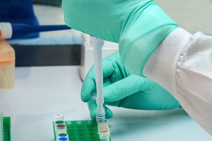 弥漫大B细胞淋巴瘤首个固定疗程治疗药物Columvi获FDA加速批准__财经头条__新浪财经