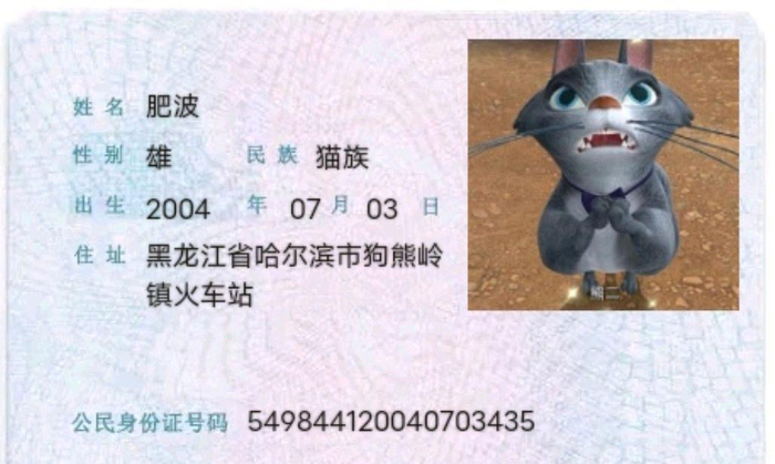 熊出没角色办身份证了！光头强居然这么多名字，赵琳证件照好美|熊出没|赵琳|动画_新浪新闻