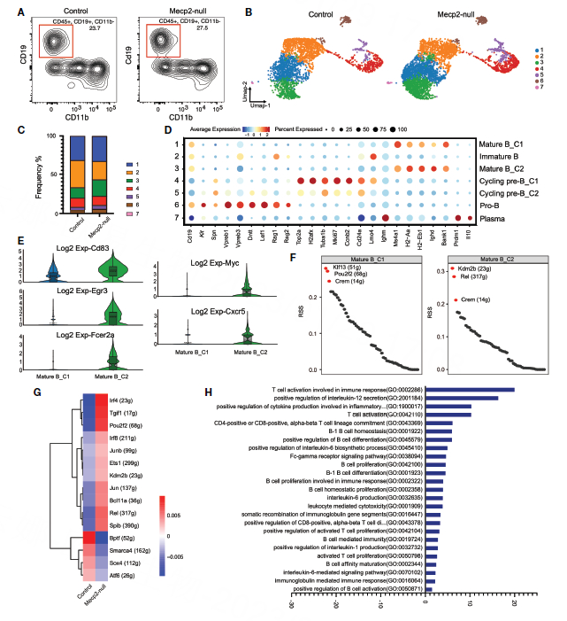 项目文章：单细胞测序揭示MeCP2缺陷小鼠脑膜免疫细胞异质性|脑膜|小鼠|细胞_新浪新闻
