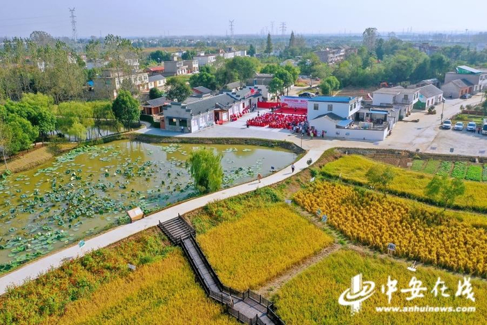 安徽肥东：赓续红色血脉 助力乡村振兴|肥东|东乡|肥东县