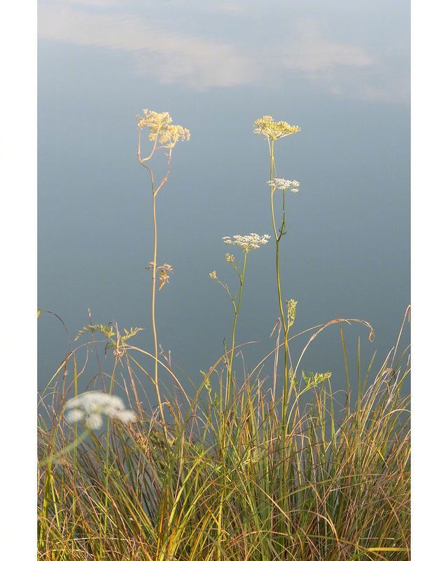 于是我们领教了世界是何等凶顽……__财经头条