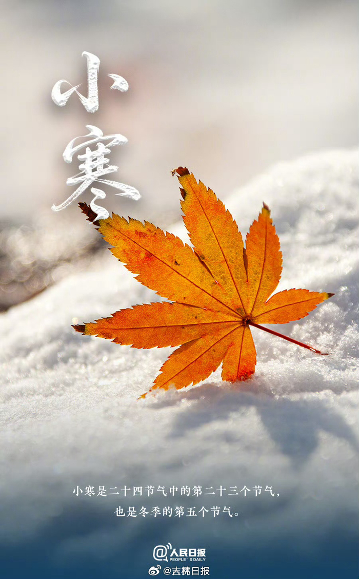 今日，小寒__财经头条__新浪财经