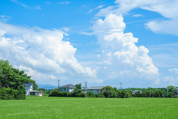 治愈风景 | 摄影师Kosuke Okude……__财经头条