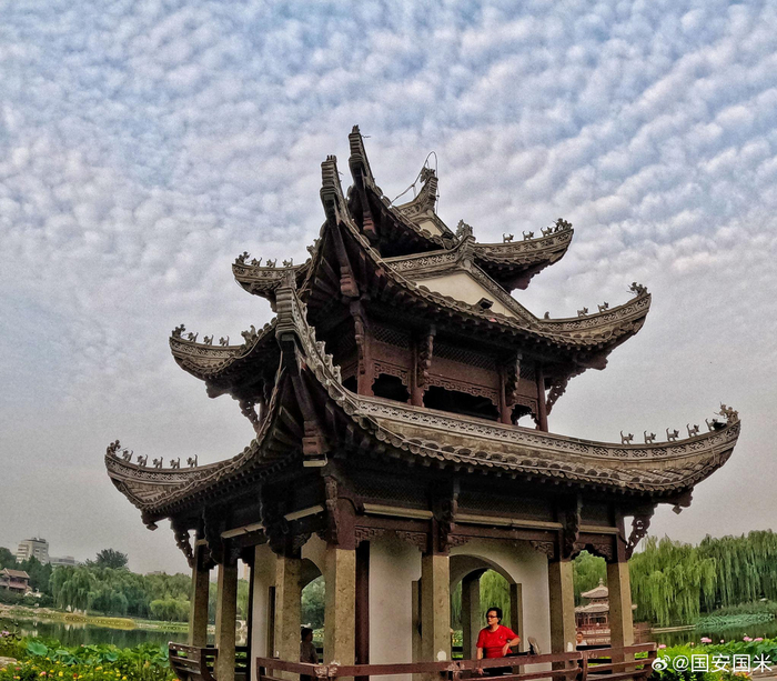 秋夏之交的北京陶然亭公园2023.8.20 摄影