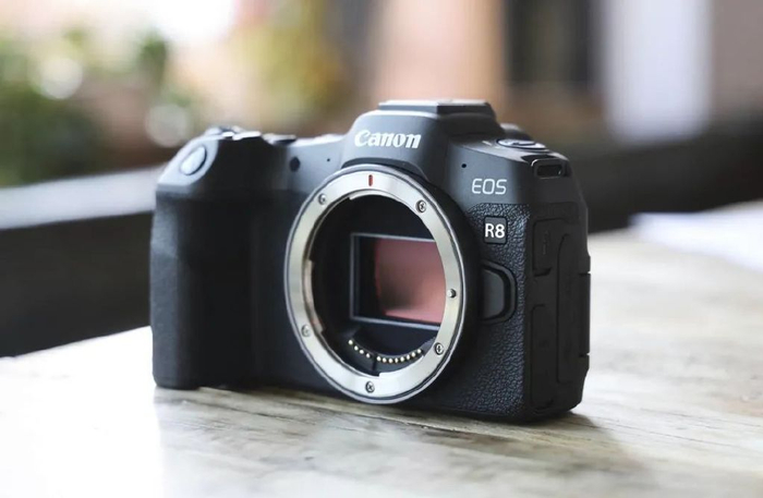 佳能EOS R8/R50上手体验：小巧紧凑、性能出色__财经头条__新浪财经