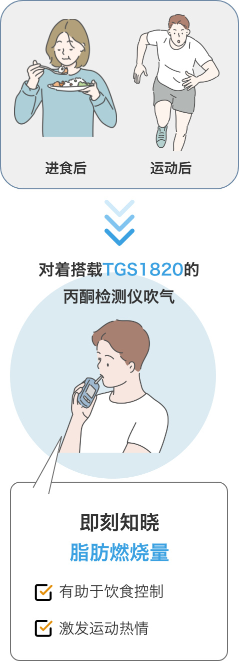 丙酮传感器TGS1820用于呼气丙酮检测与脂肪燃烧率监测|血糖监测|丙酮|血糖值
