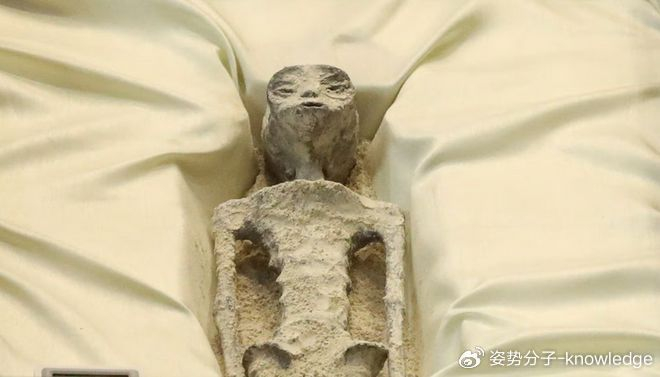 NASA局长：相信有地外生命！墨西哥“外星人尸体”，他怎么解释？|外星人|尸体|墨西哥_新浪新闻