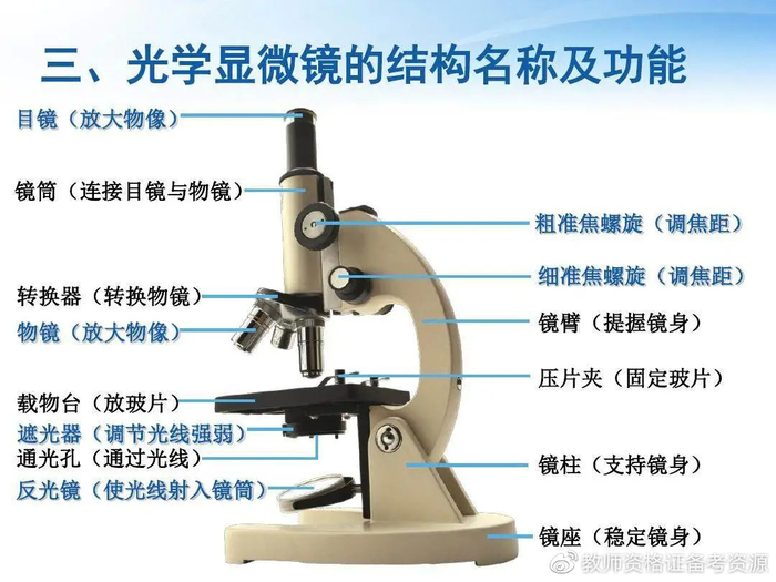 【高频考点】显微镜