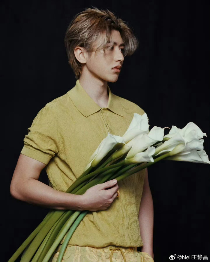 蔡徐坤登上荷兰版《Numéro 》电子刊封面，作为Versace全球大使…__财经头条__新浪财经