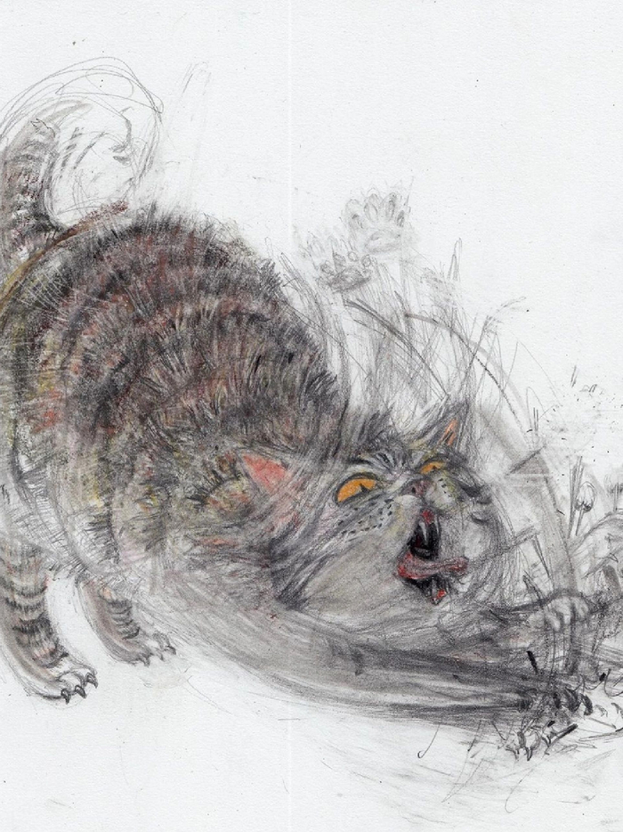 Leo Forest——法国艺术家 艺术家创作的猫猫抓狂的画面……|猫|法国|艺术家|猫猫|画面|十分|氛围|场面|动态|厮打_新浪新闻