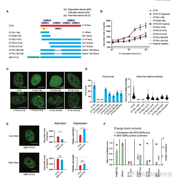 Cell | 双重作用转录因子的新发现|因子|基因|干细胞_新浪新闻