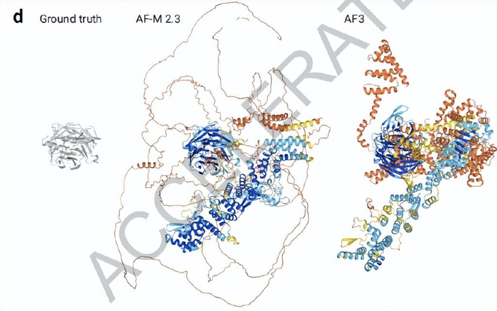 AlphaFold3：生物分子预测的大一统工具？|蛋白质|复合体|分子_新浪新闻