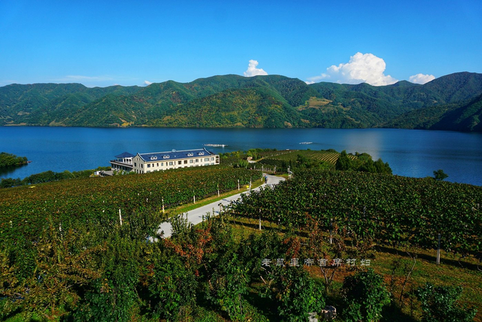 吉林边境线上的冷门旅游线路，小众低调，却藏着三处世界级美景