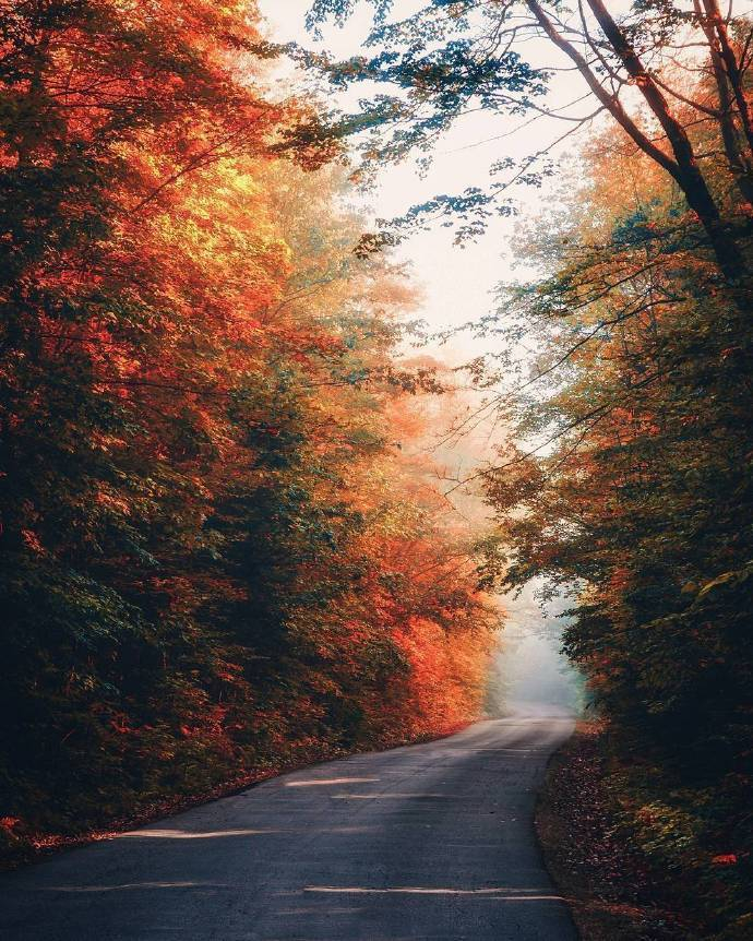 终于明白加拿大为什么叫枫叶国，果然名不虚传！