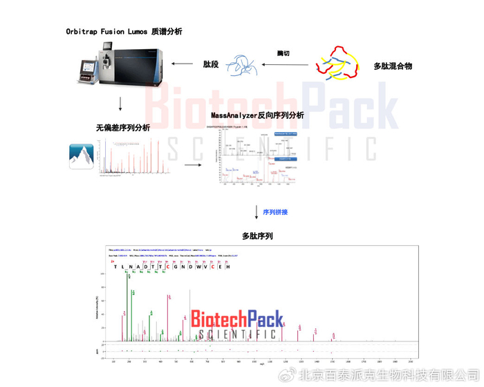多肽测序方法优势解析：高效准确的肽段识别与鉴定|多肽|测序|质谱_新浪新闻