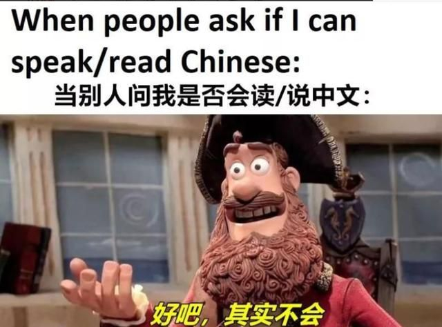外国人用梗图吐槽中文难学,看后深表同情,网友：天道好轮回