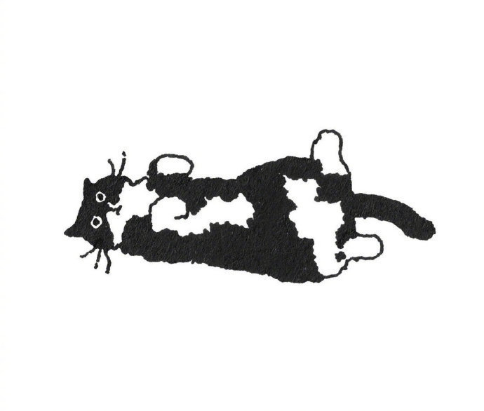 猫咪插画设计！ ： CHOI YEON JU