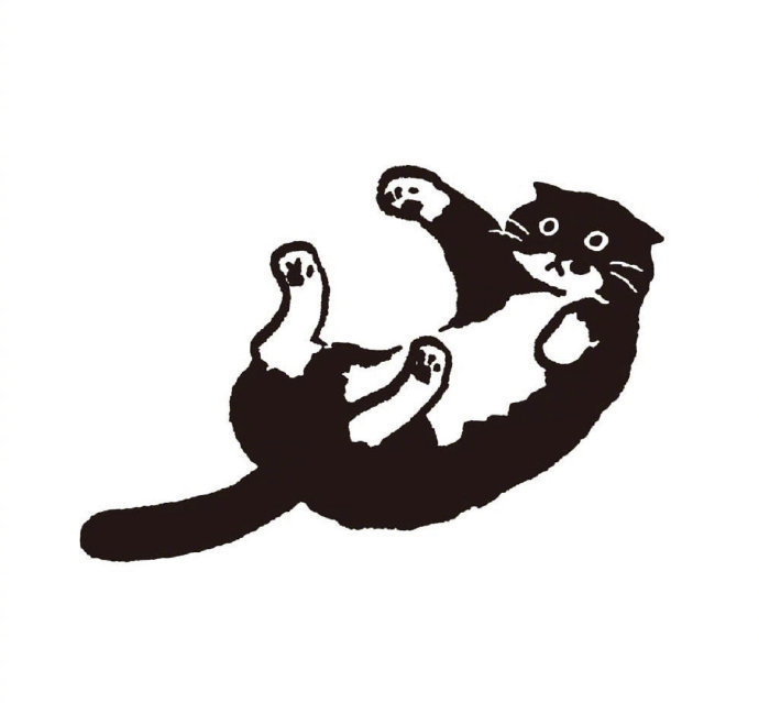 猫咪插画设计！ ： CHOI YEON JU