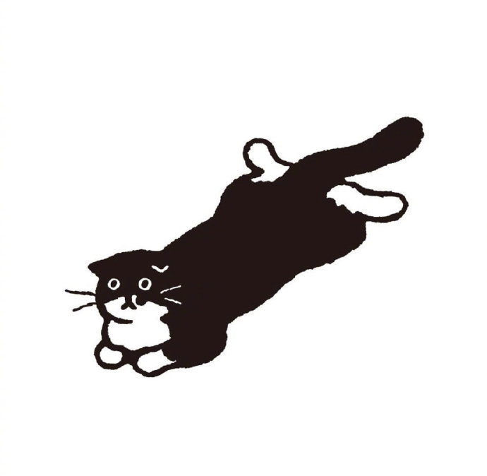猫咪插画设计！ ： CHOI YEON JU