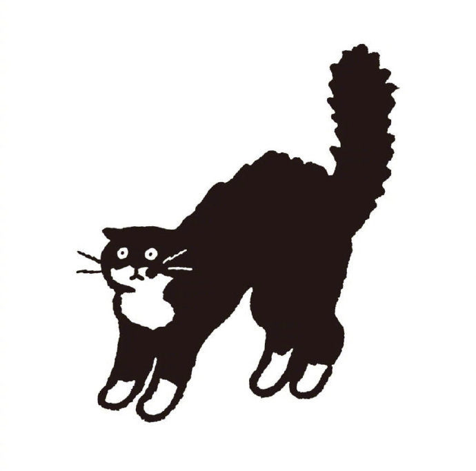 猫咪插画设计！ ： CHOI YEON JU