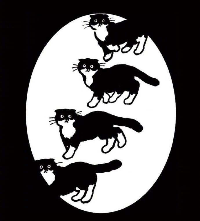 猫咪插画设计！ ： CHOI YEON JU