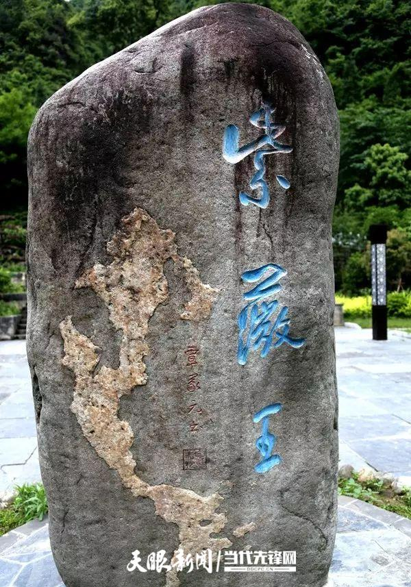 贵州百年树木丨它从时光中走来：梵净钟灵毓秀长|夏紫薇|贵州省|紫薇|紫薇树|印江_新浪新闻