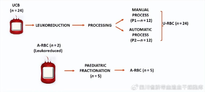 脐带血新研究：第一例渐冻症患者接受 CK0803 治疗|渐冻症|脐带血|细胞_新浪新闻