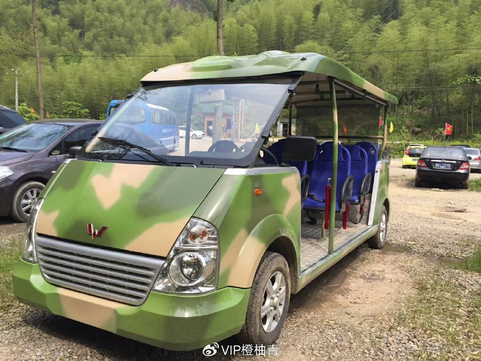 林立五菱威威系列燃油观光车WALQ5110：畅游未来的旅途