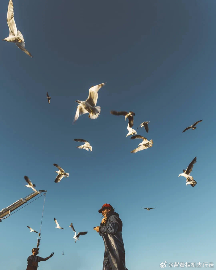 「当你尝试孤独时」｜ Filipe Pinhas