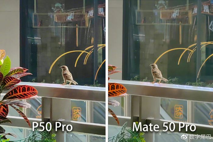 细数P50 Pro到Mate50 Pro的影像变化，我理解了华为XMAGE__财经头条__新浪财经