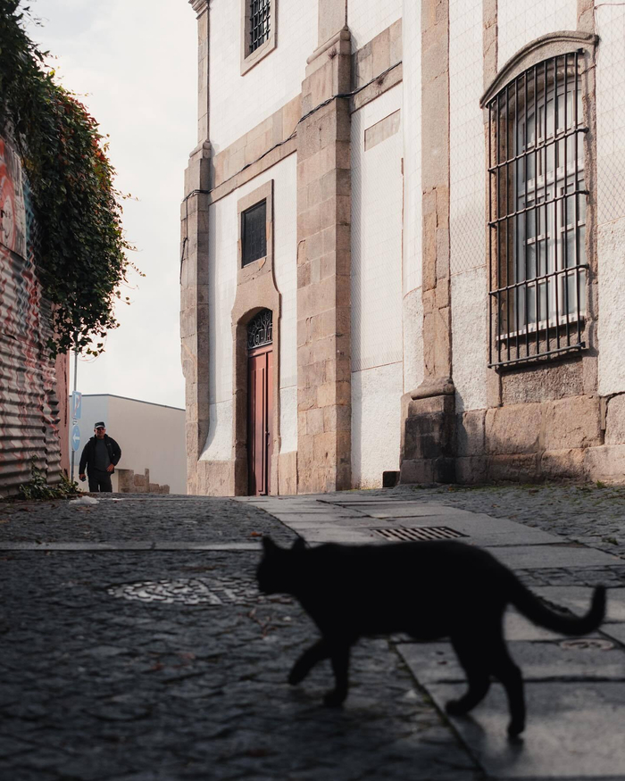 光与影的街头，摄影师Roman Fox 镜头里的波尔图